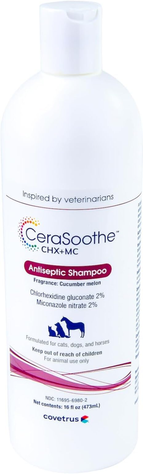 13 Best Medicated Shampoos for Dogs – Vet-Approved Relief