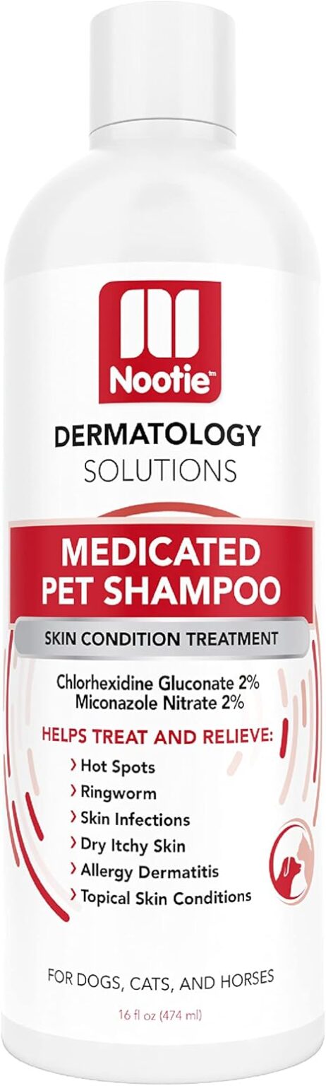 13 Best Medicated Shampoos for Dogs – Vet-Approved Relief